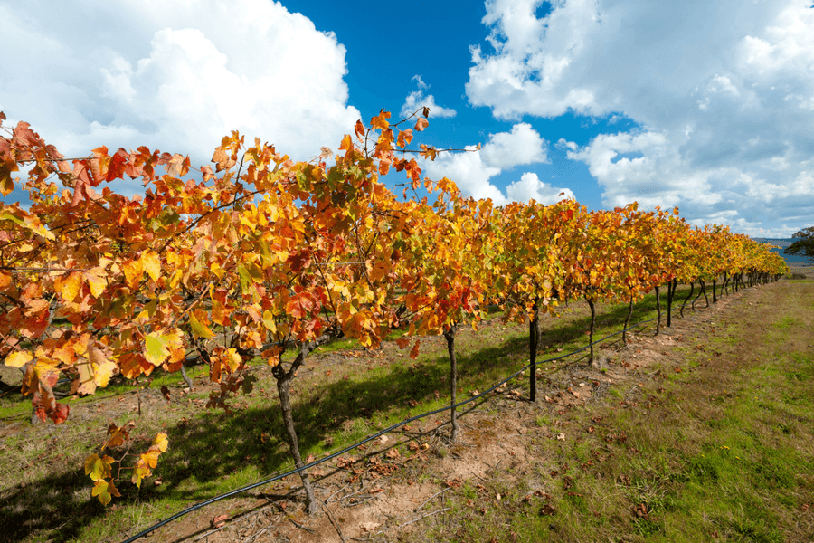 Day Trips to Escape the Cold | QT Canberra